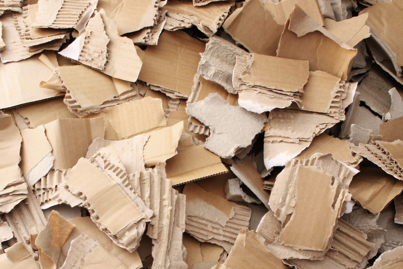 Näin lajittelet pahvin ja paperin helposti - Setlementtiasunnot